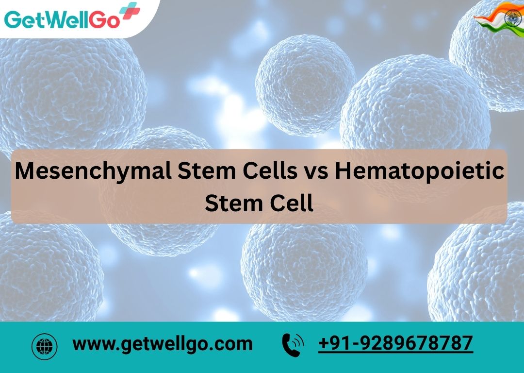 Mesenchymal vs Hematopoietic Stem Cells Explained